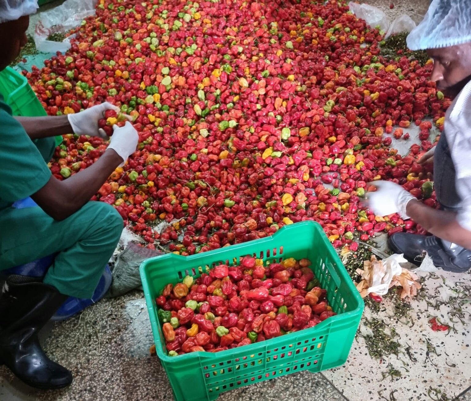 Contact – Macdough Foods LTD Uganda